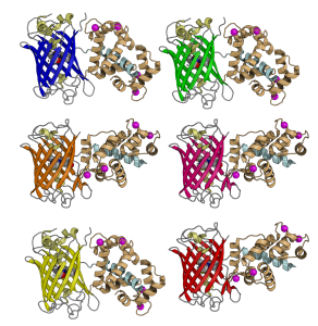 Research – Biomolecular Chemistry Laboratory